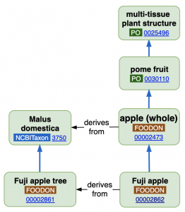 FoodOn – FoodOn: A farm to fork ontology