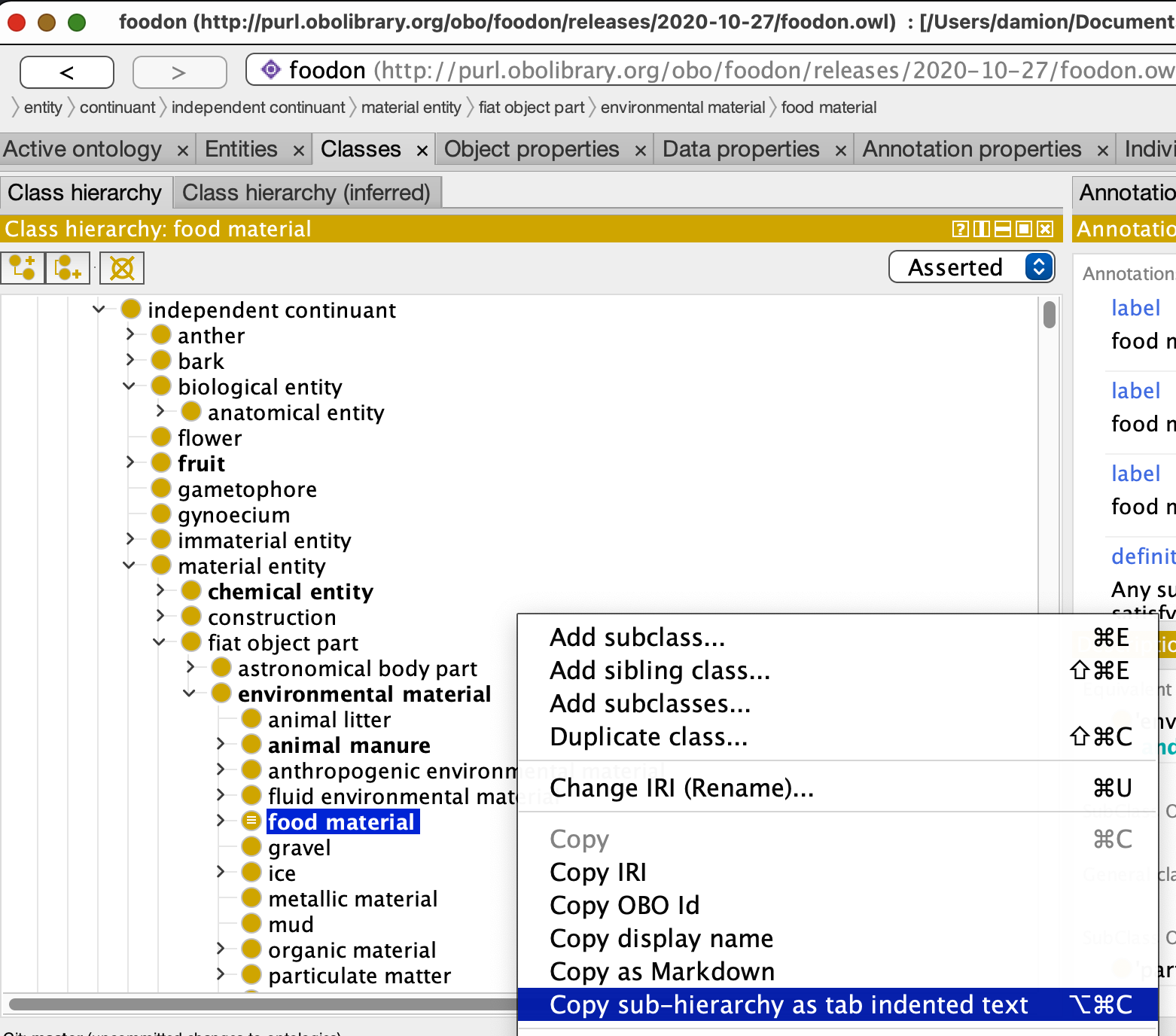 Using Protégé – FoodOn